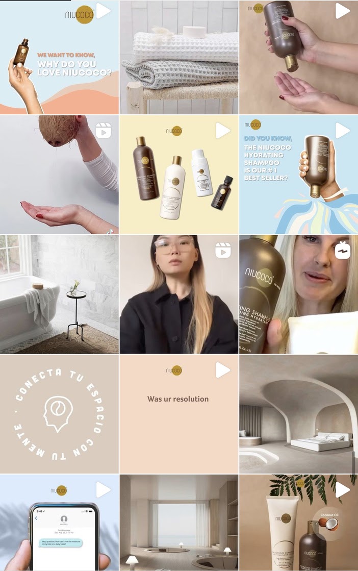 The Gold – UGC SHOP